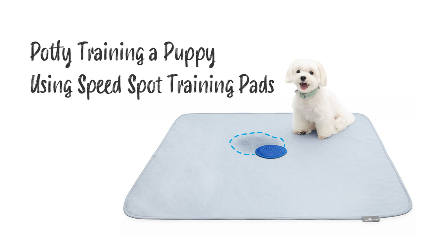Potty Training a Puppy Using Speed Spot Training Pads – Paw Inspired